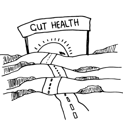 Dr Leah Murray - Integrative Doctor - Online Gut Reset Program